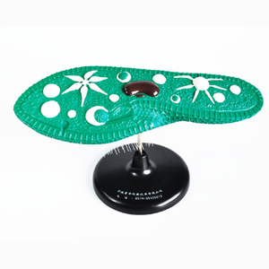 Paramecium Model – Skyline Educational Labs