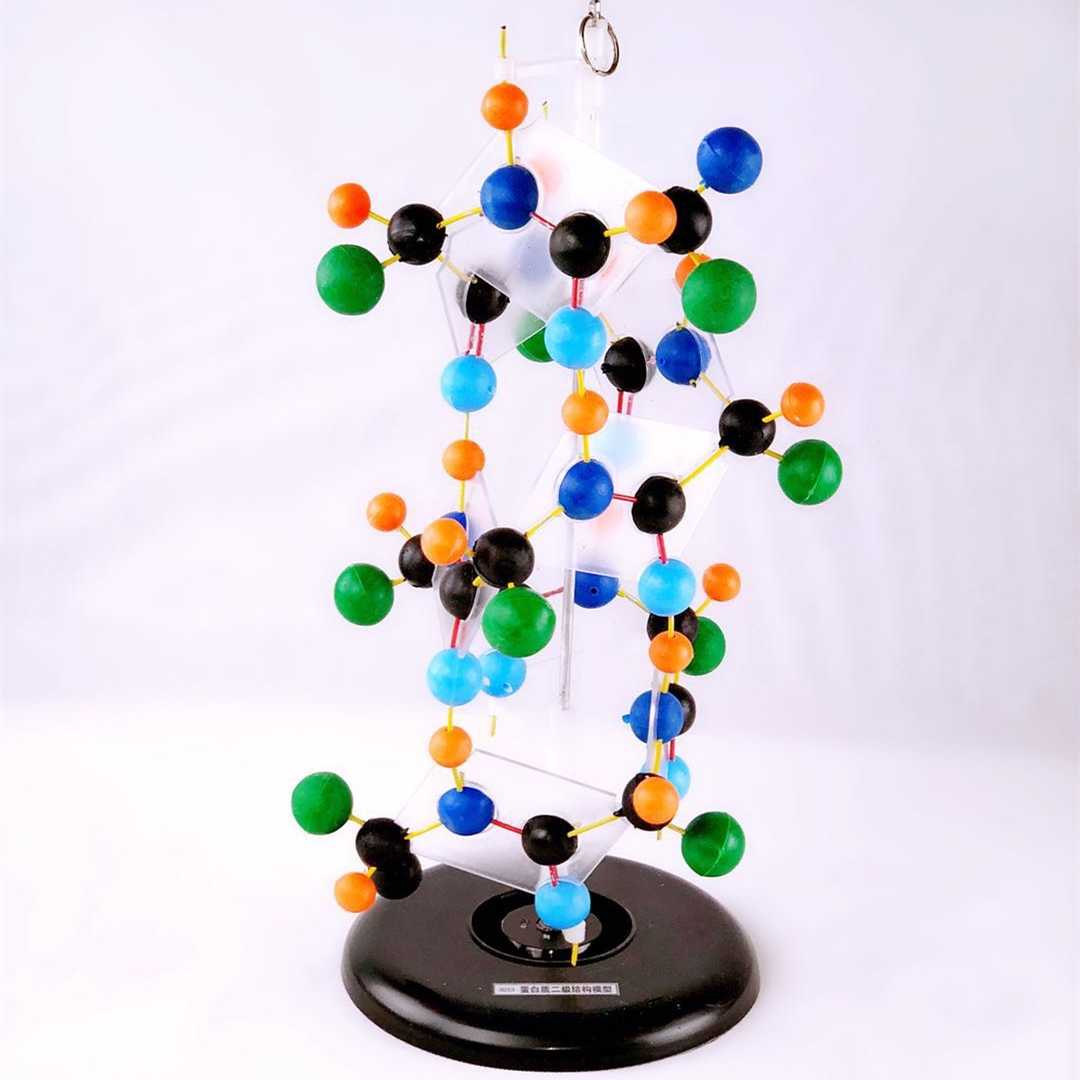 Protein Structure Model (On Stand) – Skyline Educational Labs